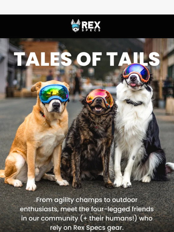 Rex Specs: Meet the dogs who rely on Rex Specs gear 🐾 | Milled
