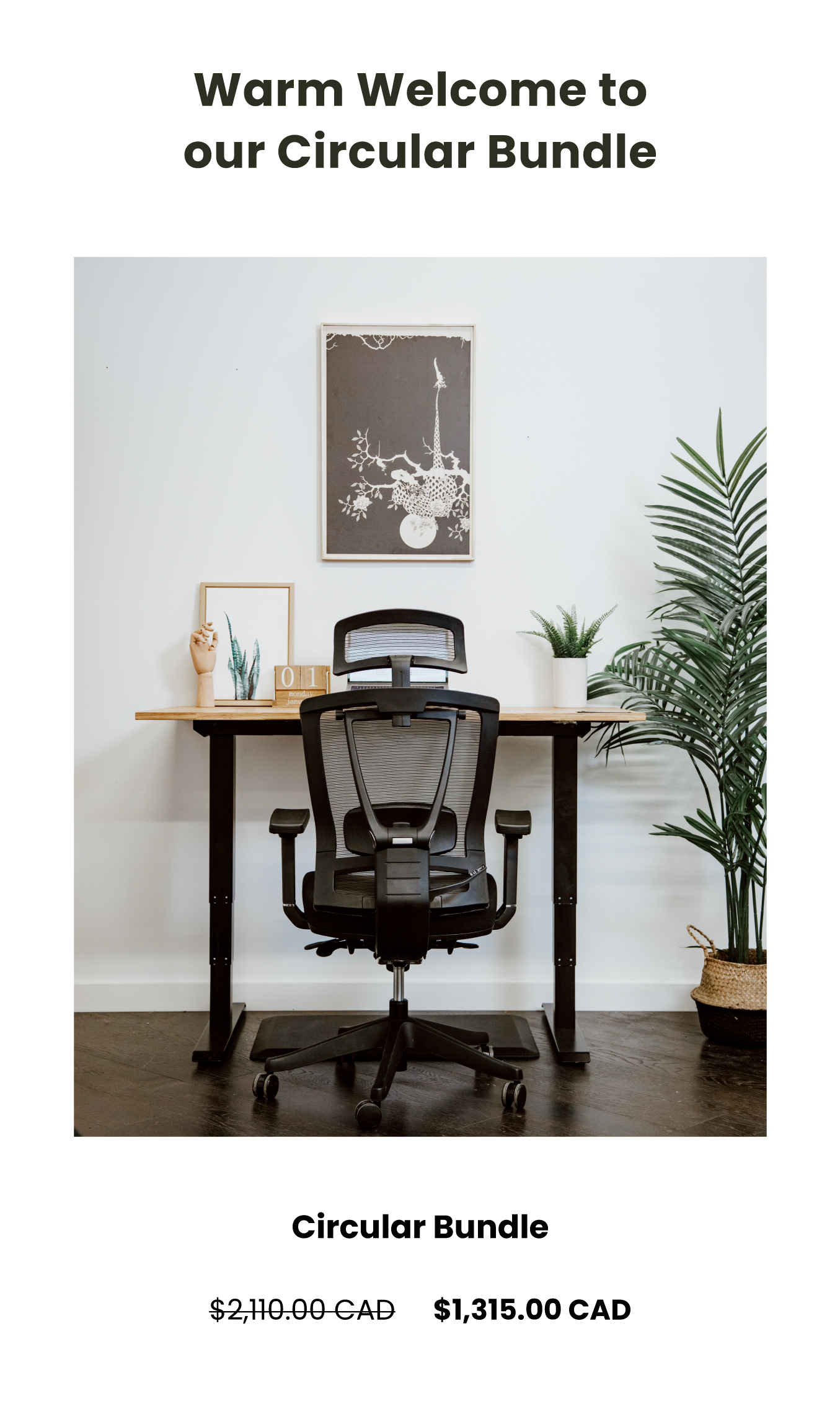 EffyDesk: Go carbon negative with our Circular Bundle! | Milled