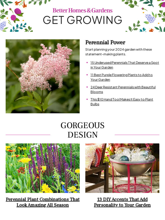 Better Homes and Gardens: 15 Underused Perennials That Deserve a Spot ...