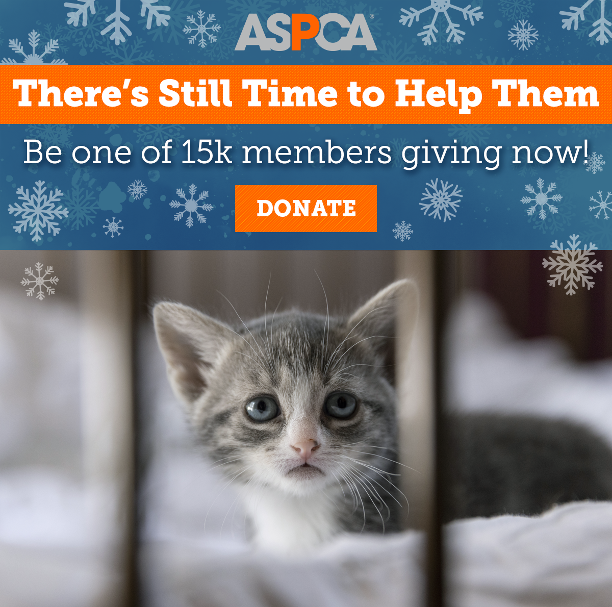 ASPCA: —, bumping this up in your inbox! | Milled