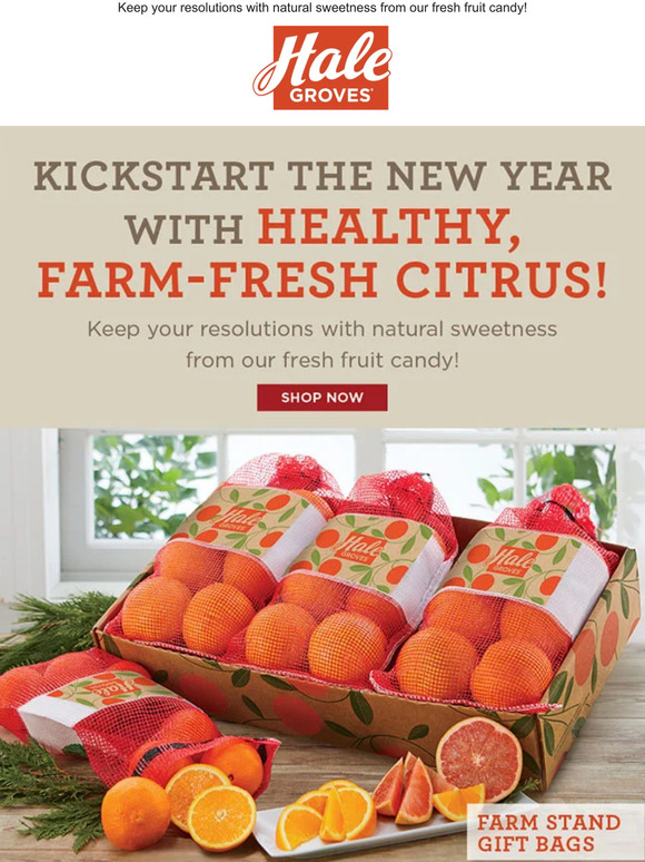 Hale Groves: Kickstart the New Year with Healthy, Farm-Fresh Citrus ...
