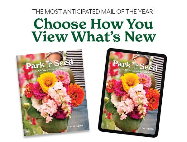 Park Seed: Prepare Your Spring Bulb Garden Now | Milled