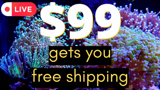 Salt Water Fish: 🐠VIP's $99 Free Shipping Starts Now! | Milled
