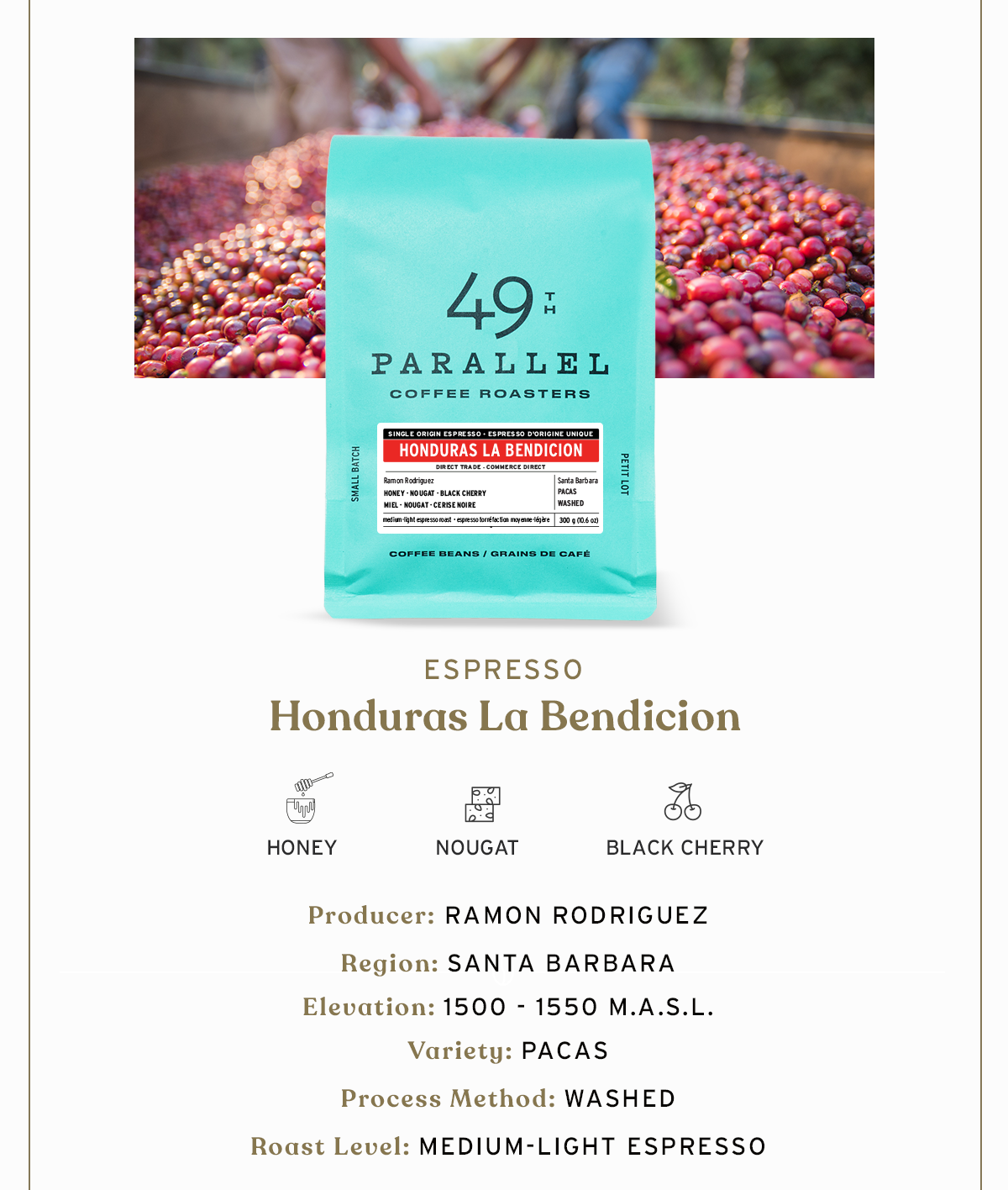 49th Parallel Coffee Roasters: New Coffee ☕: The Honduras Duo | Milled
