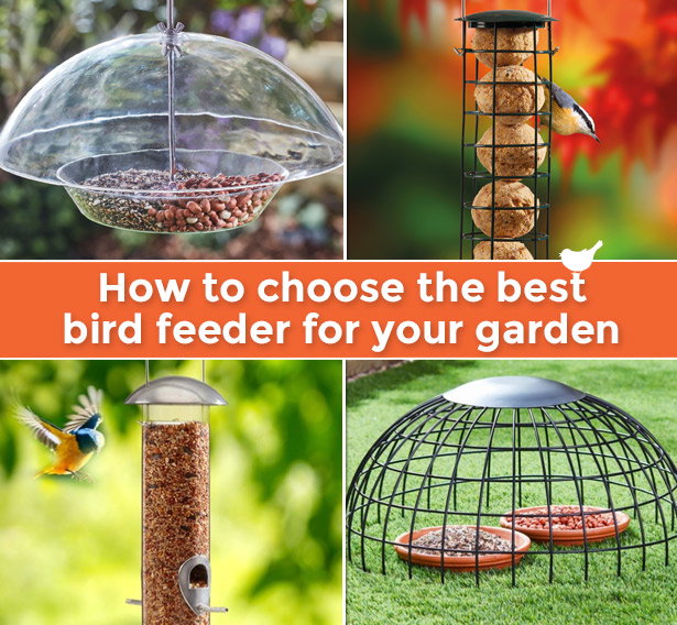 Happy Beaks: Choosing the best bird feeder for your garden | Milled