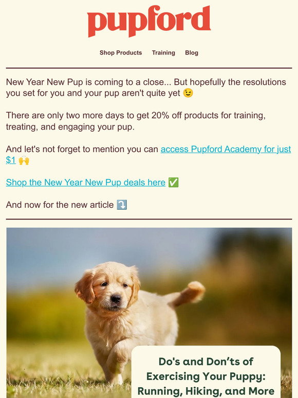Pupford LLC: The Do's and Don'ts of Exercising Your Pup | Milled