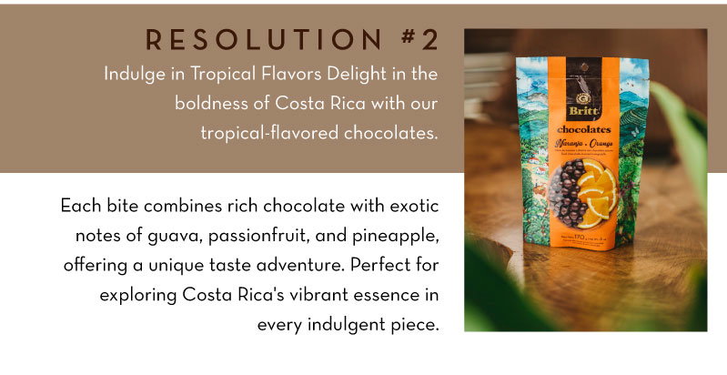 Cafe Britt: 2024's First Sips: Costa Rican Coffee & Chocolates Await ...
