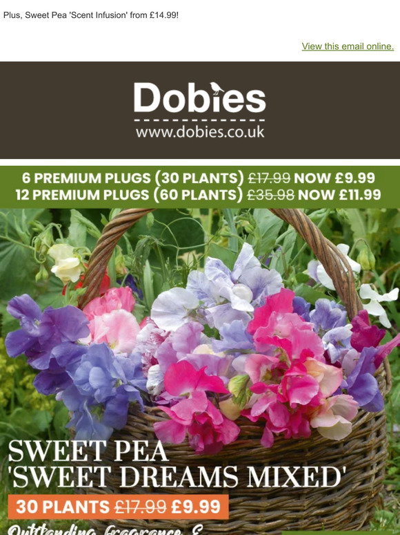 Dobies: Sweet Peas from just 20p each - 48 HOURS ONLY! | Milled