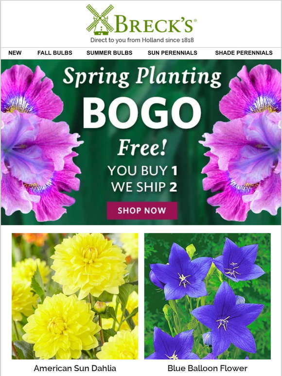 Breck's: BOGO Free Is Back for a Limited Time! | Milled