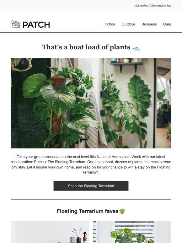 Patch Plants: Hop aboard the Floating Terrarium 🌱 | Milled