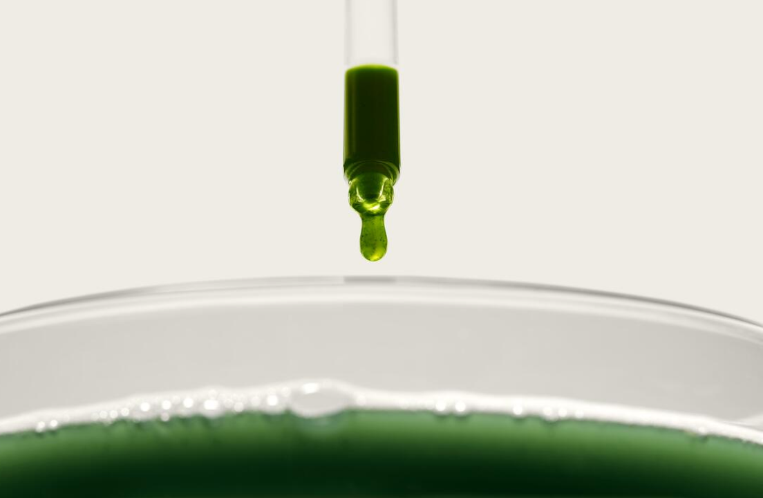 Athletic Greens: What does new research say about how AG1 works? | Milled