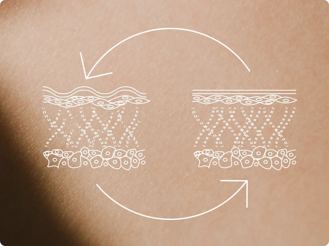 Timeline Nutrition: The Key to Fighting Visible Aging | Milled