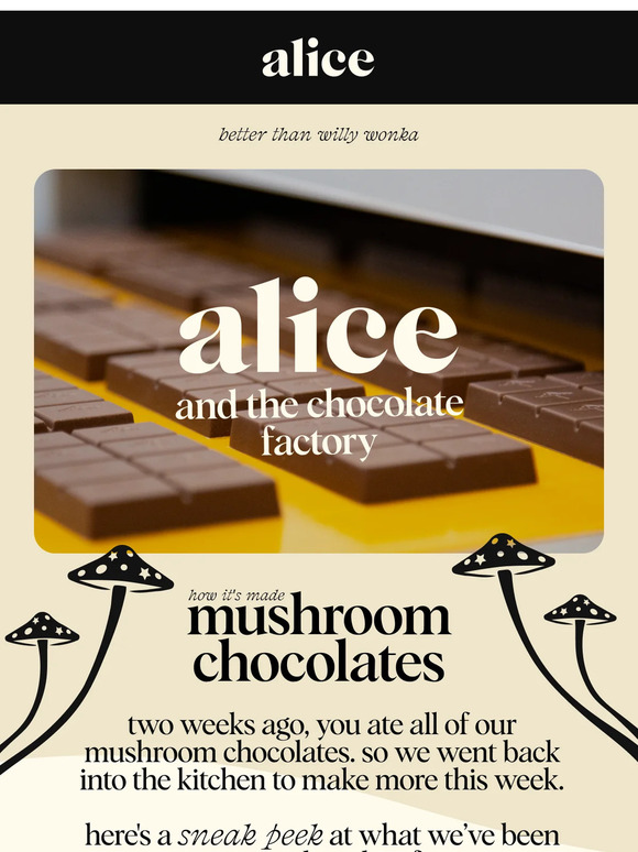 Alice Mushrooms: BETTER THAN WILLY WONKA 🍄 🍫 | Milled Alice Mushrooms: BETTER THAN WILLY WONKA 🍄 🍫 | Milled
