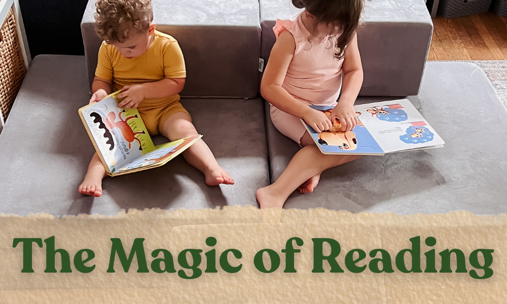 Shenanigan Kids: The Magic of Reading to Toddlers: A Mom's Guide | Milled