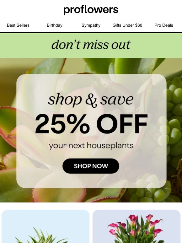 ProPlants: 25% off to celebrate Houseplant Appreciation Day! | Milled