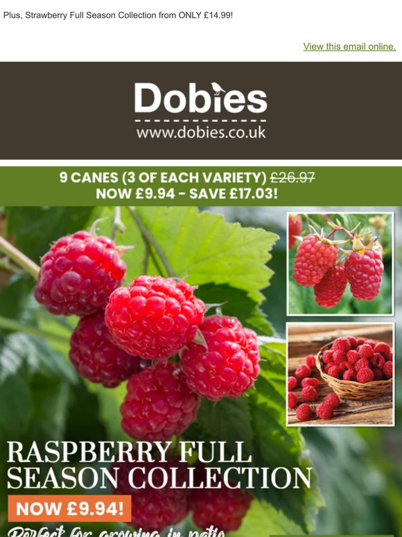 Dobies: Full Season Raspberry Collection NOW £9.94! | Milled