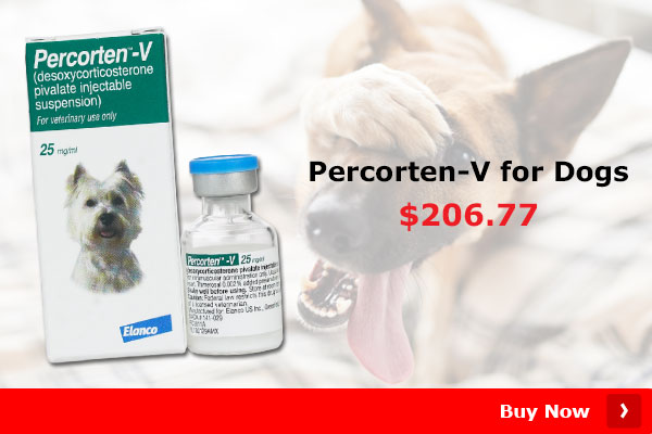 Valley Vet Supply: Addison's Disease: Do you know the signs? | Milled