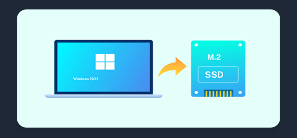 Ashampoo: The best software for cloning hard disks or partitions | Milled