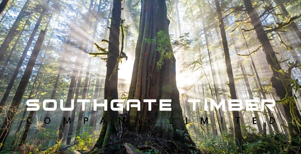 Southgate Timber: Explore Our Website's New Features | Milled
