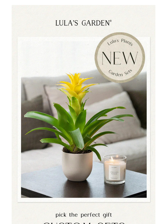 Lula's Garden: New Year, New Plants! Explore Our New Collection 🌿 | Milled