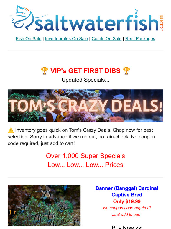 Salt Water Fish: 🐠🏆VIP's Get First Dibs! Updated Tom's CrAzY Deals ...