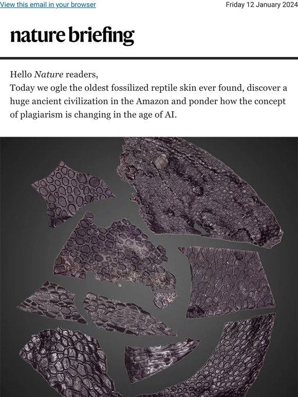 Nature: Huge ancient civilization discovered in the Amazon | Milled