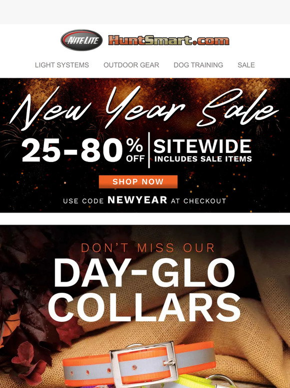 Hunt Smart: Day-Glo Collars That Will Make Your Night! | Milled