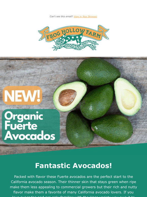 Frog Hollow Farm: New! Organic Fuerte Avocados! 🥑 | Milled