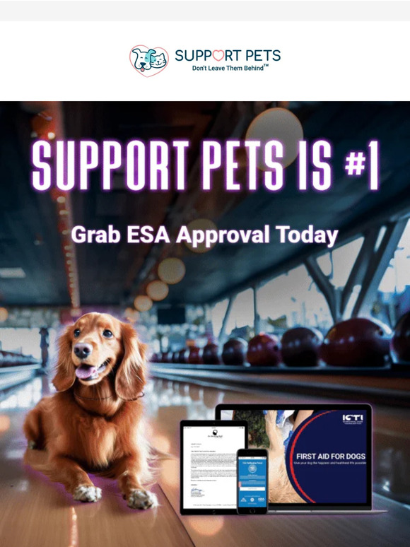 Support Pets: 🤔 Why A Support Pets ESA? | Milled