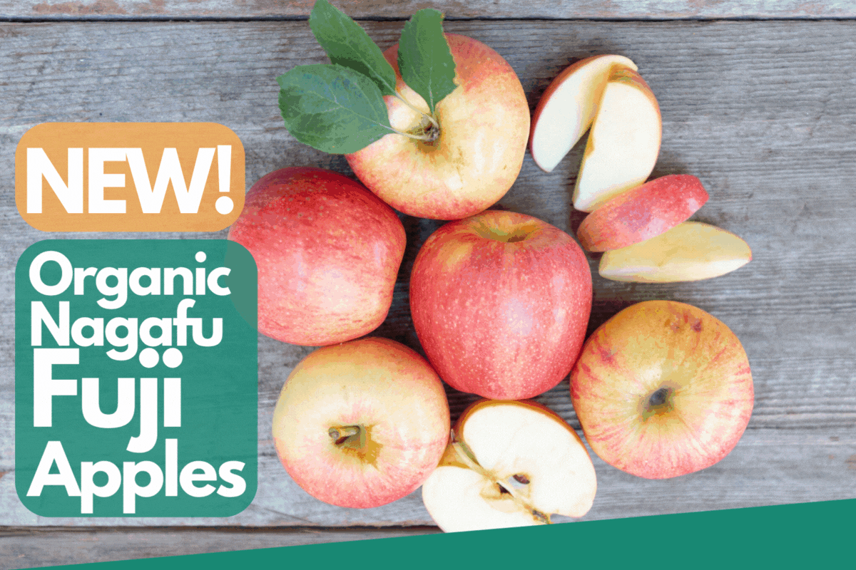 Frog Hollow Farm: Organic Nagafu Fuji Apples! NEW! 🍎 | Milled