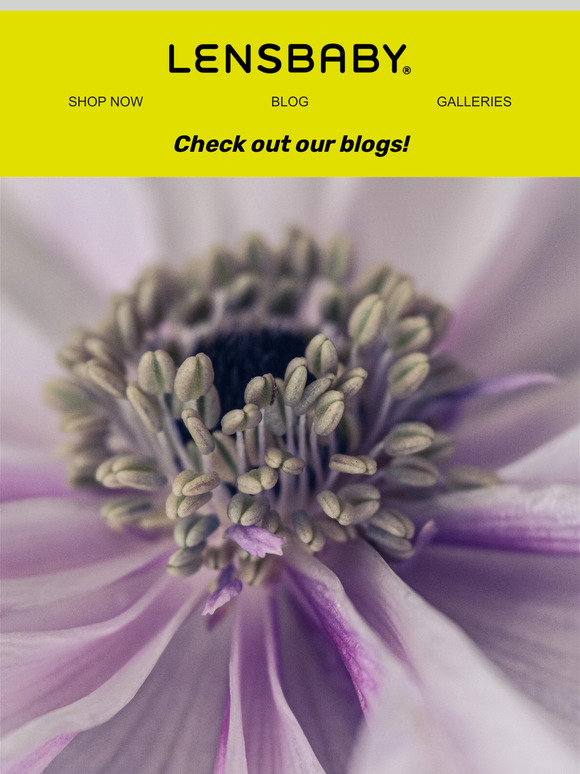 Lensbaby: To Photoshop or Not To Photoshop | Milled