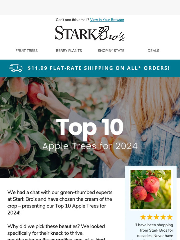 Stark Bro's: 🍎🌳 Top 10 Apples Trees for 2024 | Milled