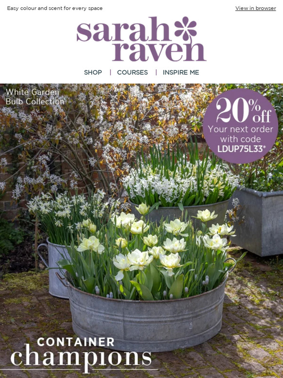 Sarah Raven: Choose container plants for potted perfection | Milled