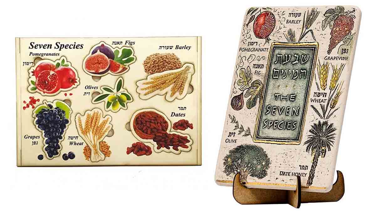 JudaicaWebStore.com: 🌾 What Do the Seven Species of Israel Symbolize ...