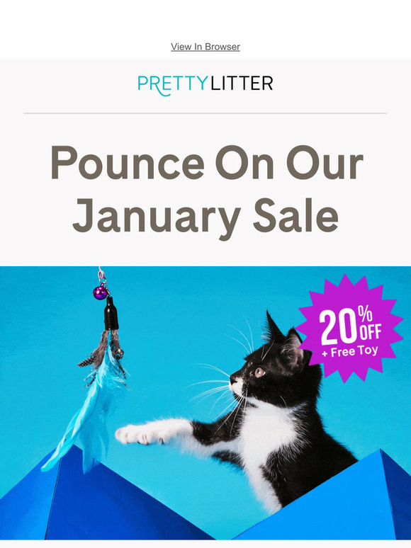 Pretty Litter: 2024 Resolution: A Happier Cat | Milled