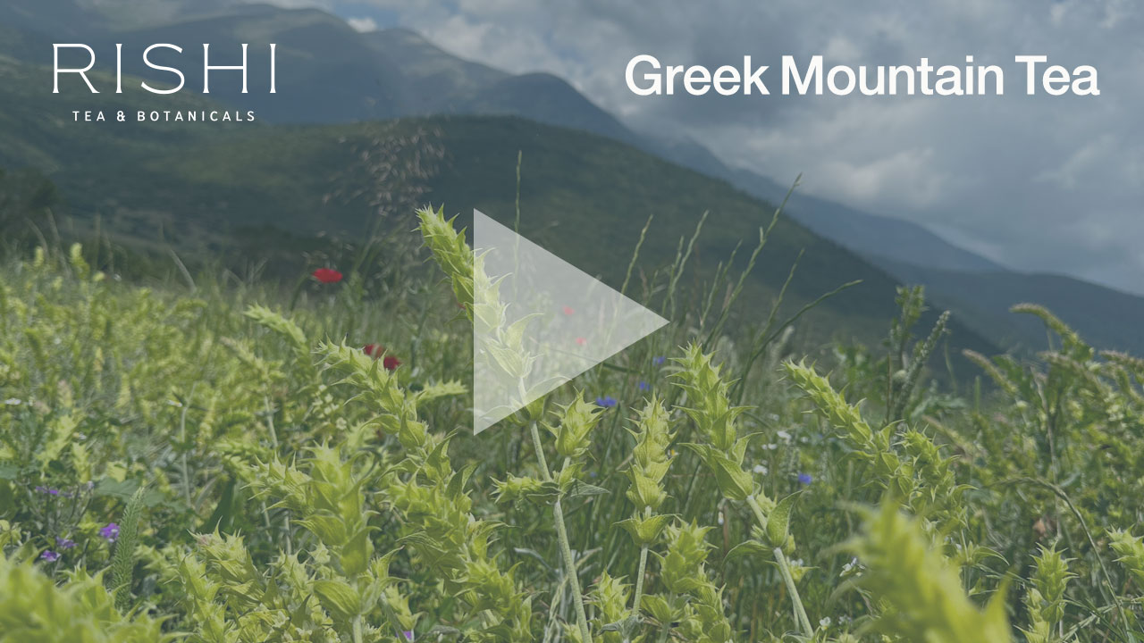 Rishi Tea: The Elixir of Ancient Greece | Milled