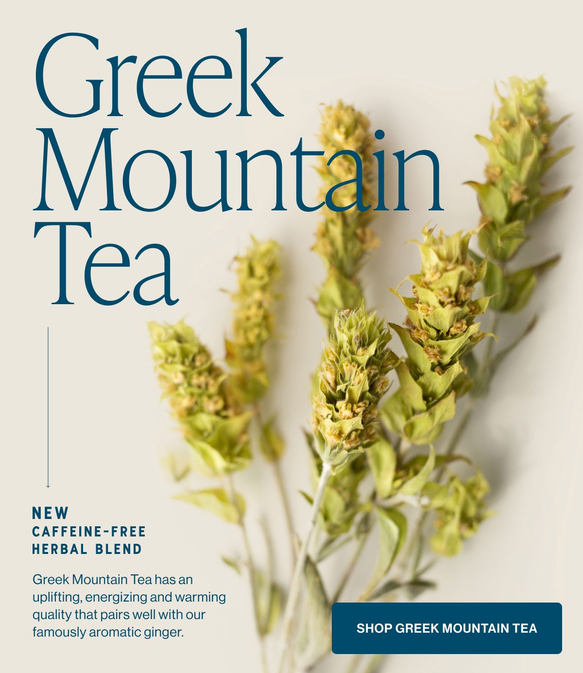 Rishi Tea: The Elixir of Ancient Greece | Milled