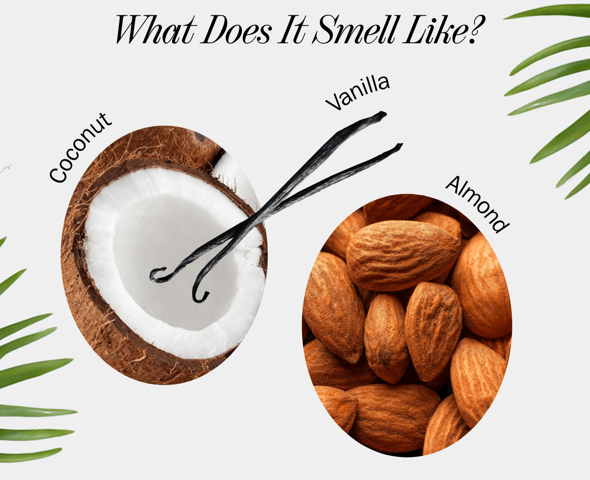 Fussy: Shop our new scent, Coconut Milk 🥥 | Milled