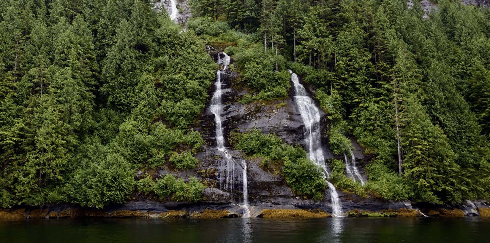 American Queen Voyages: Expedition Without Borders and Flexible Payment ...