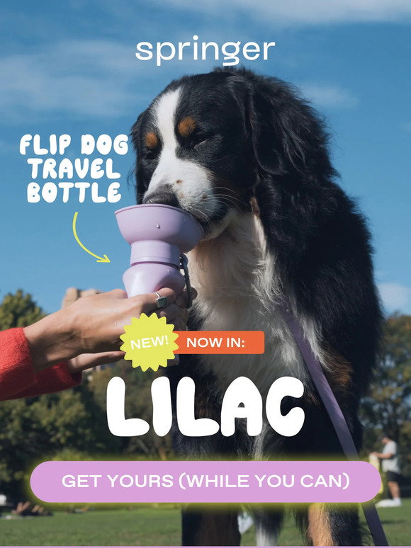 Springer: Flip's NEW hue! | Milled