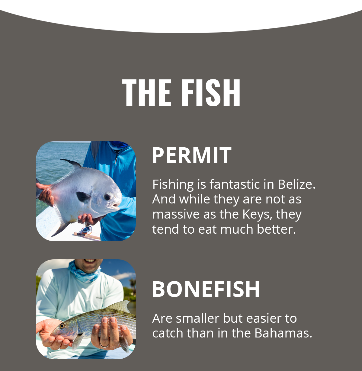 Trident Fly Fishing: The Ulitmate Belize Travel Guide | Milled