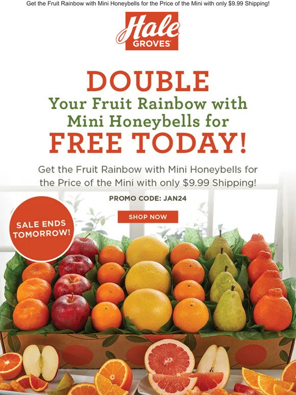 Hale Groves: Double Your Fruit Rainbow with Mini Honeybells for FREE ...