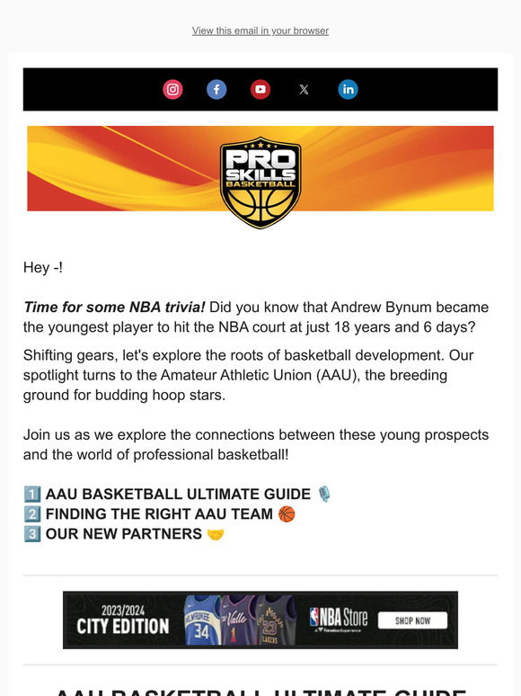 Pro Skills Basketball: Find the right AAU Team | Milled