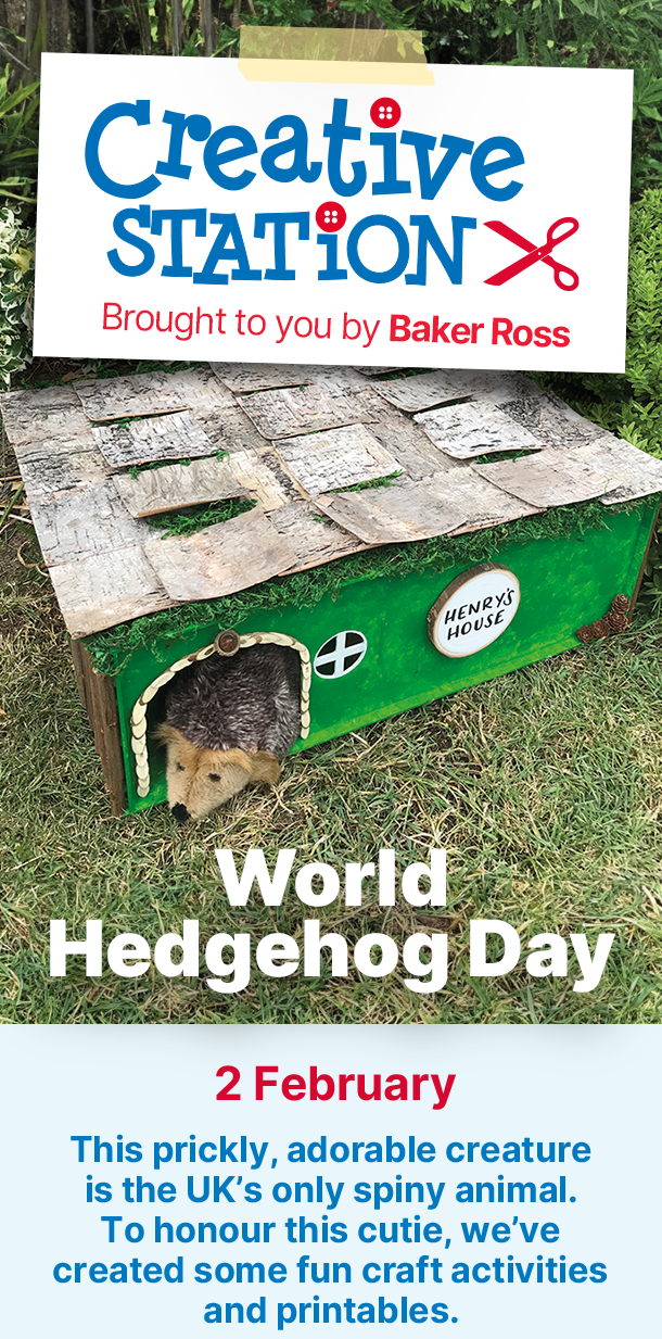 Baker Ross: 8 Ways to Celebrate World Hedgehog Day 🦔 | Milled