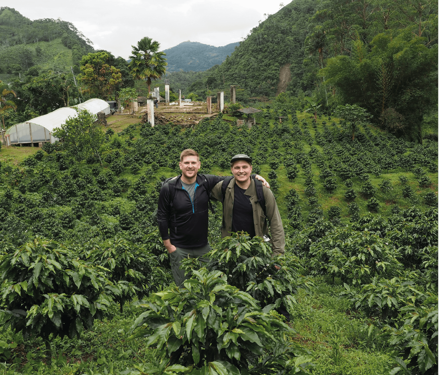 Colonna Coffee: Revisiting Excellence: CGLE's Cerro Azul Gesha Honey ...