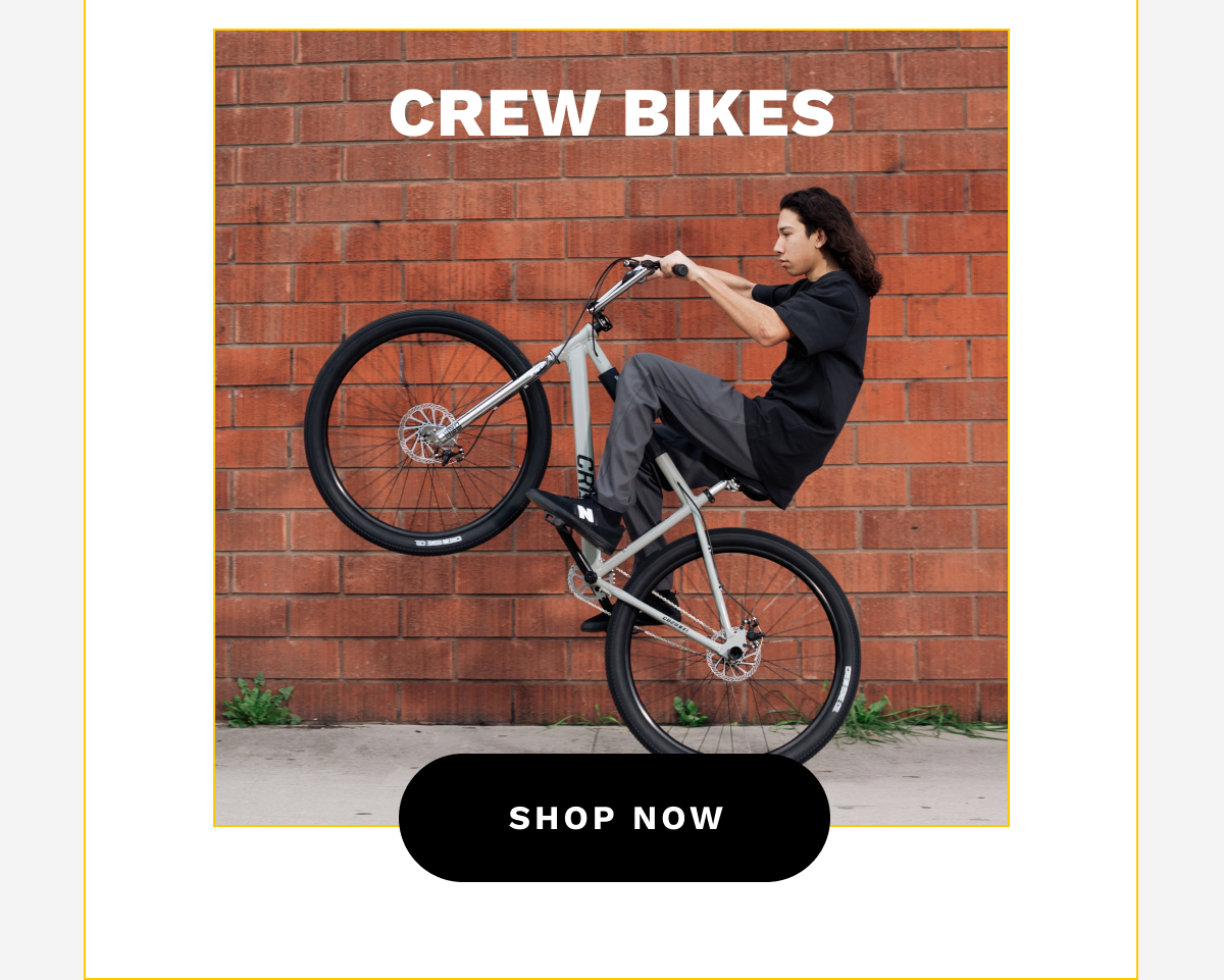 City Grounds: These are the top bike brands for 2024 | Milled