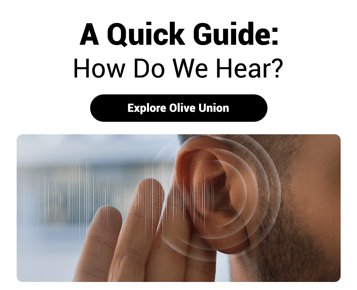 Olive Union: A quick guide: How do we hear? | Milled