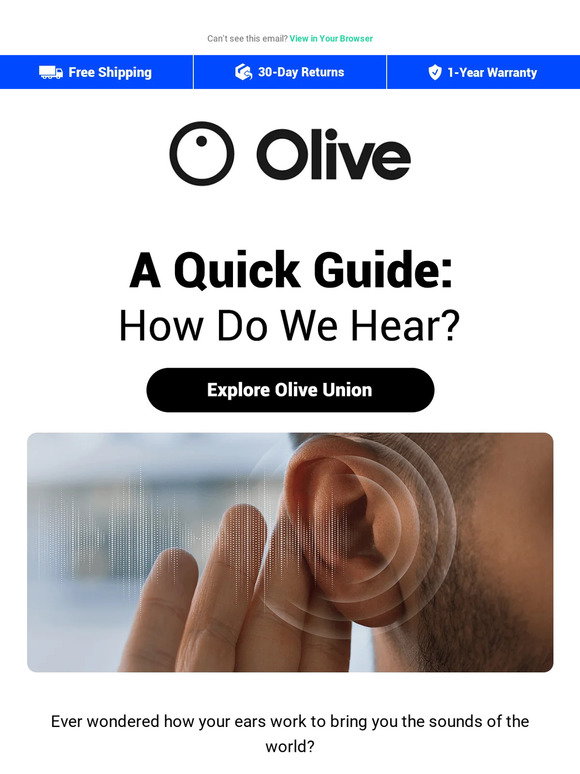 Olive Union: A quick guide: How do we hear? | Milled