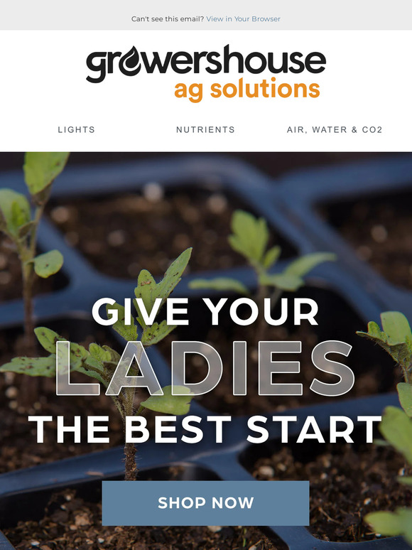 GrowersHouse: Let's light up together | Milled