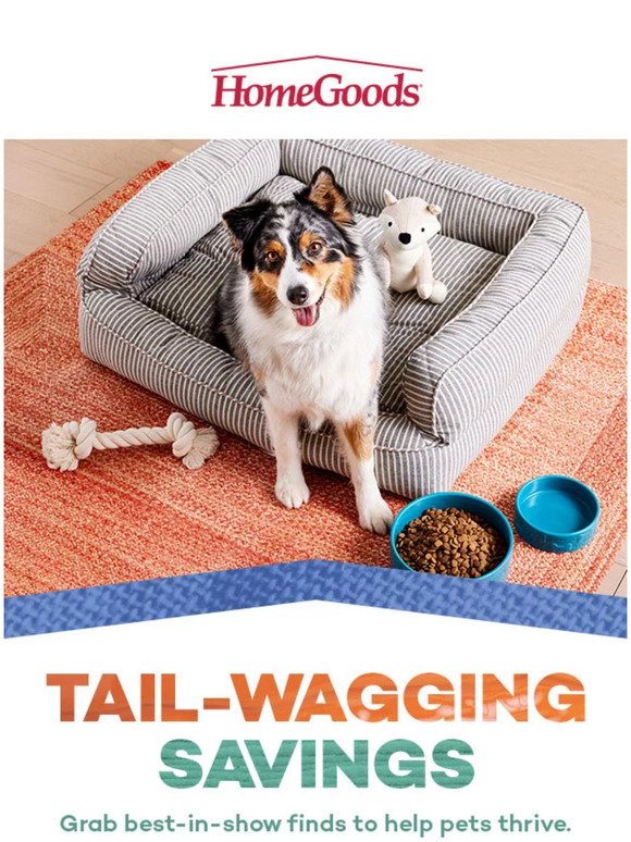 HomeGoods: Your pet’s fave new find is inside. >> | Milled